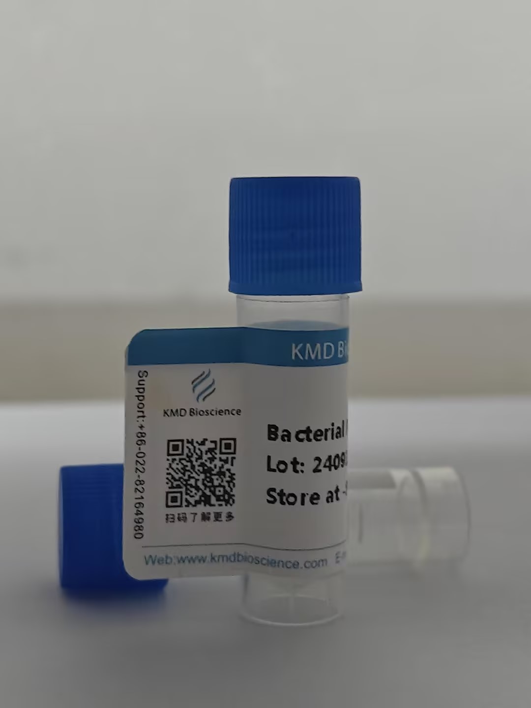 Bacillus thuringiensis Cry1Ac Protein, His Tag_天津卡梅德科技发展有限公司